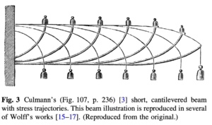骨梁構造の発見 | 大腿骨頚部骨折からスキー復帰まで